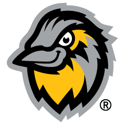Team Roster - Northwoods League