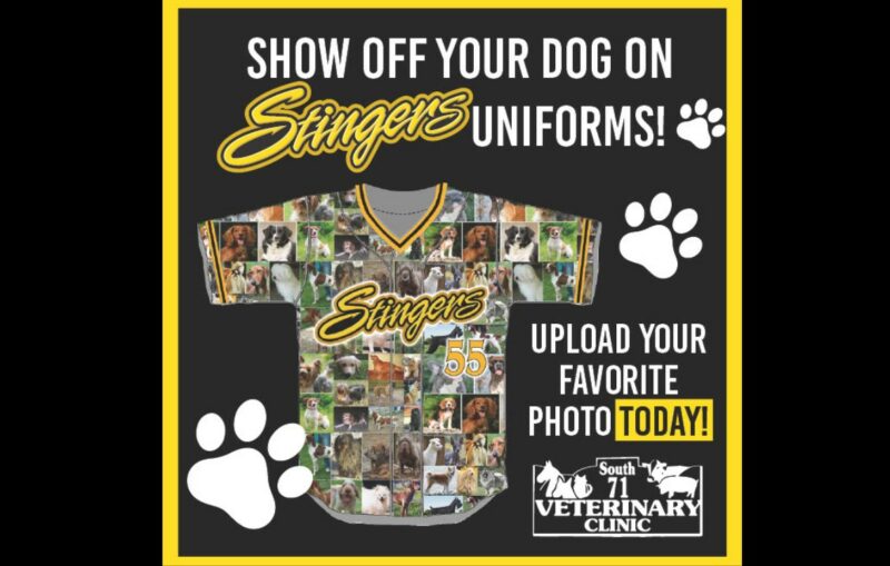 Home - Willmar Stingers