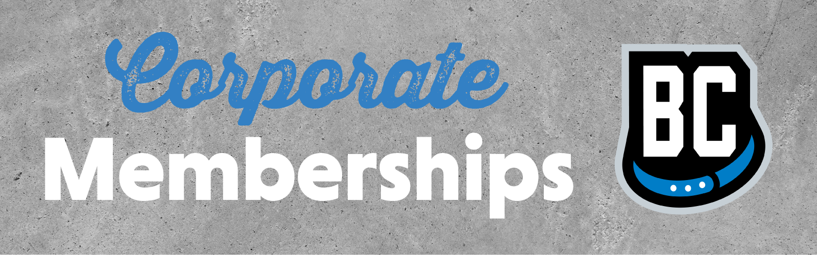 Corporate Memberships - Battle Creek Battle Jacks