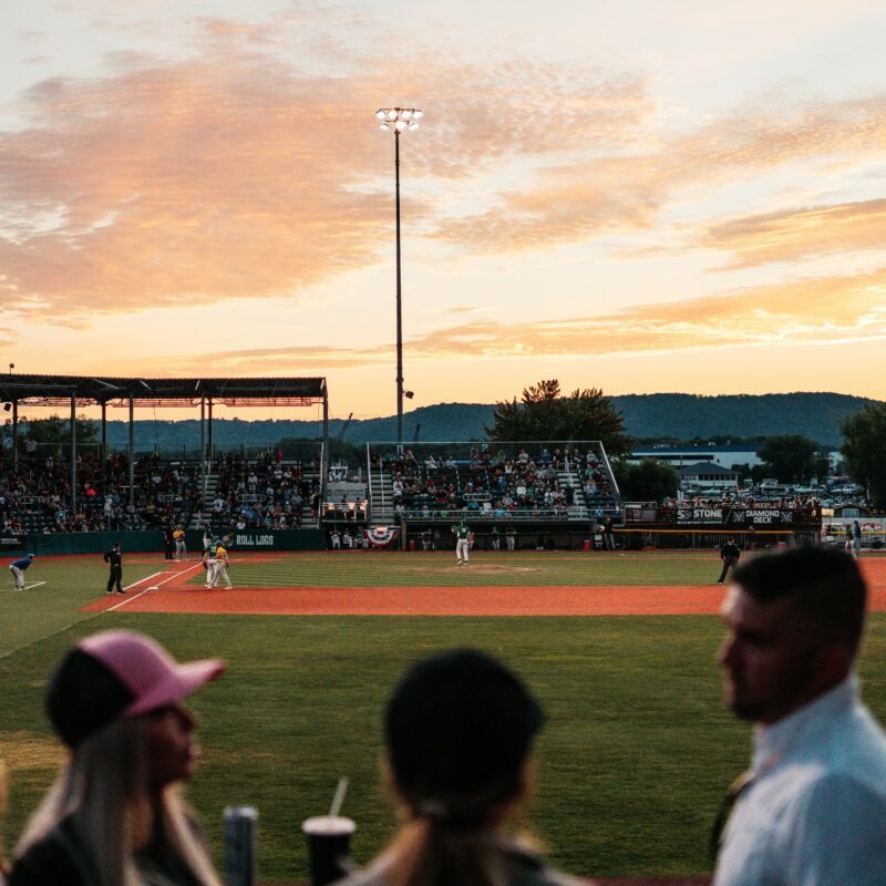 Willmar Slugs Way to Victory over Loggers - La Crosse Loggers