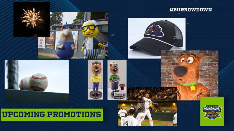 Upcoming Promotions at Athletic Park! - Wausau Woodchucks