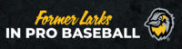 Larks Alumni in the Pros - Bismarck Larks