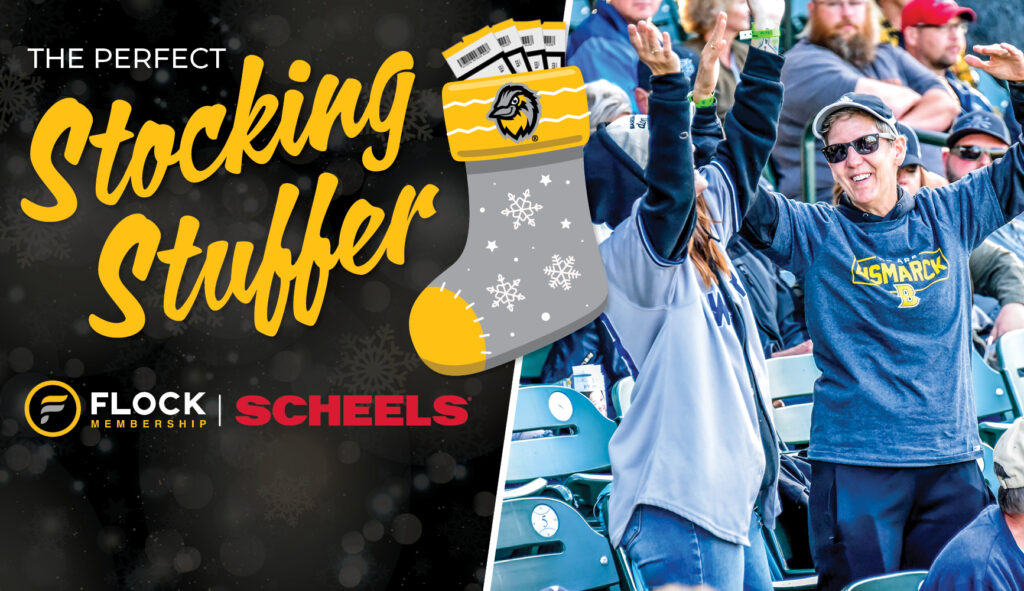 The Perfect Stocking Stuffer for Grandparents - Bismarck Larks