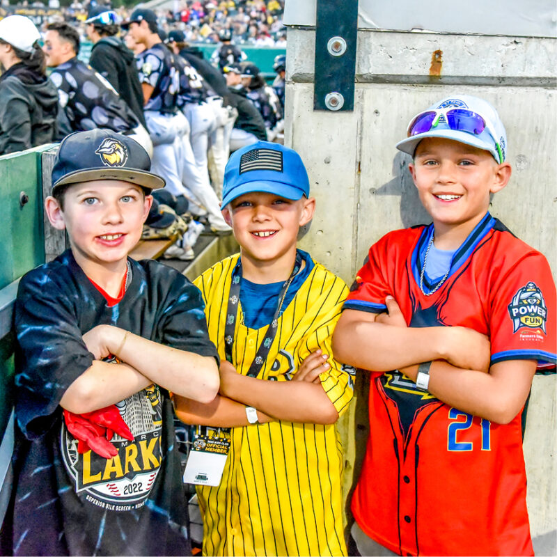 Kid's Birthday Party - Bismarck Larks