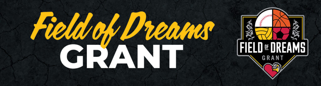 Field of Dreams Grant - Bismarck Larks