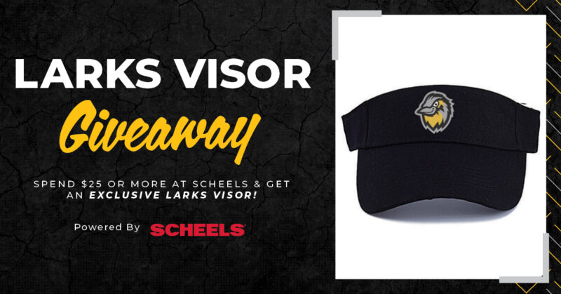 Home - Bismarck Larks