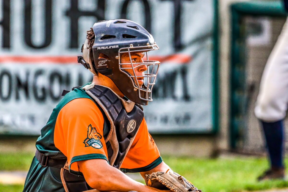 Larks Alumni in the Pros - Bismarck Larks