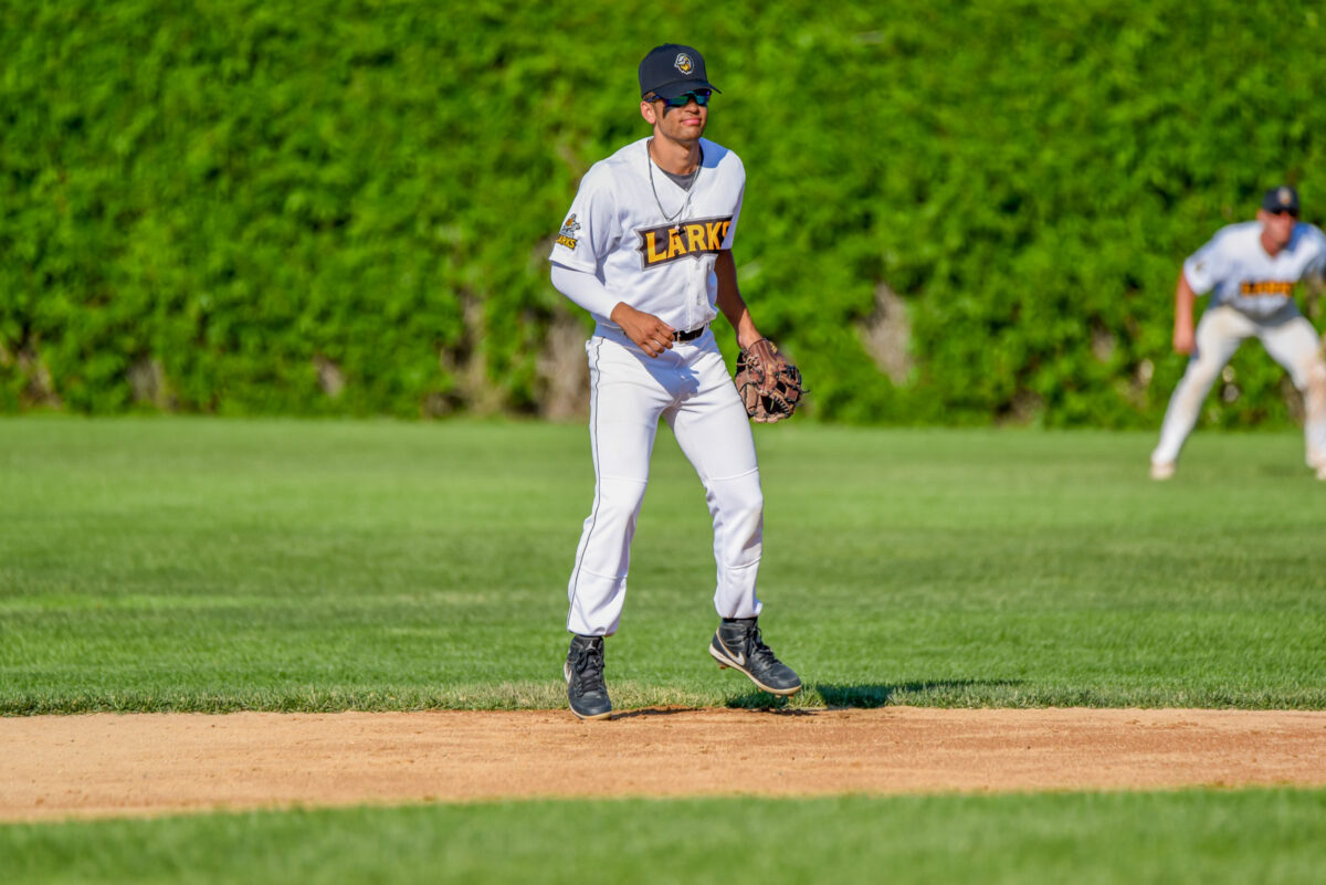 Larks Alumni in the Pros - Bismarck Larks