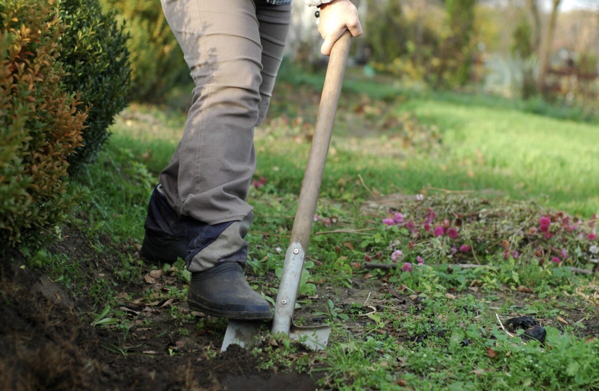 811 Night at the Ballpark: Dig for Cash - Bismarck Larks
