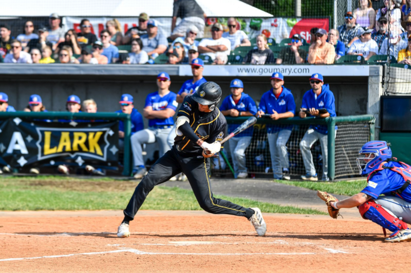 2025 Single Game Tickets - Bismarck Larks