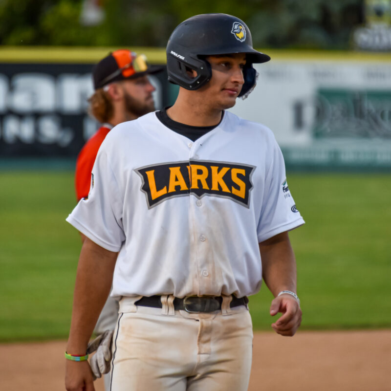 Larks Alumni in the Pros - Bismarck Larks