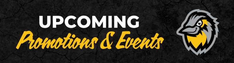 Upcoming Promotions & Events - Bismarck Larks