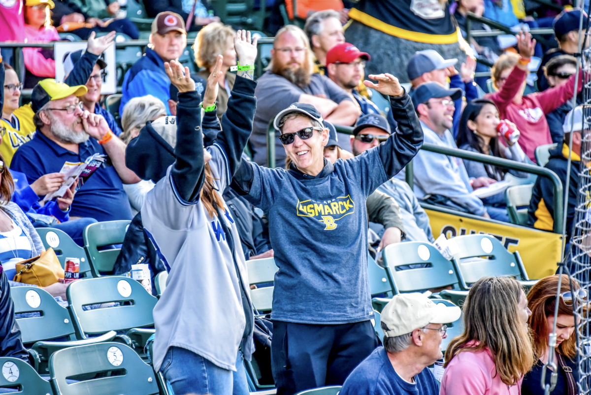 Premium Seating - Bismarck Larks