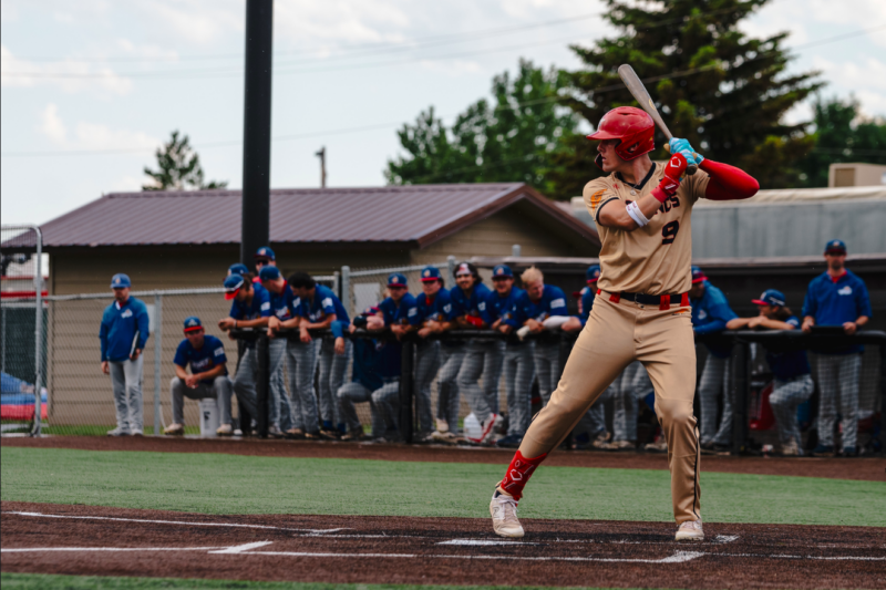 Home - Badlands Big Sticks - Northwoods League