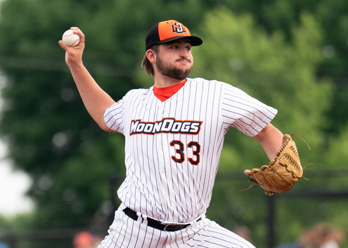 Dogs Get Honked by Honkers - Mankato MoonDogs