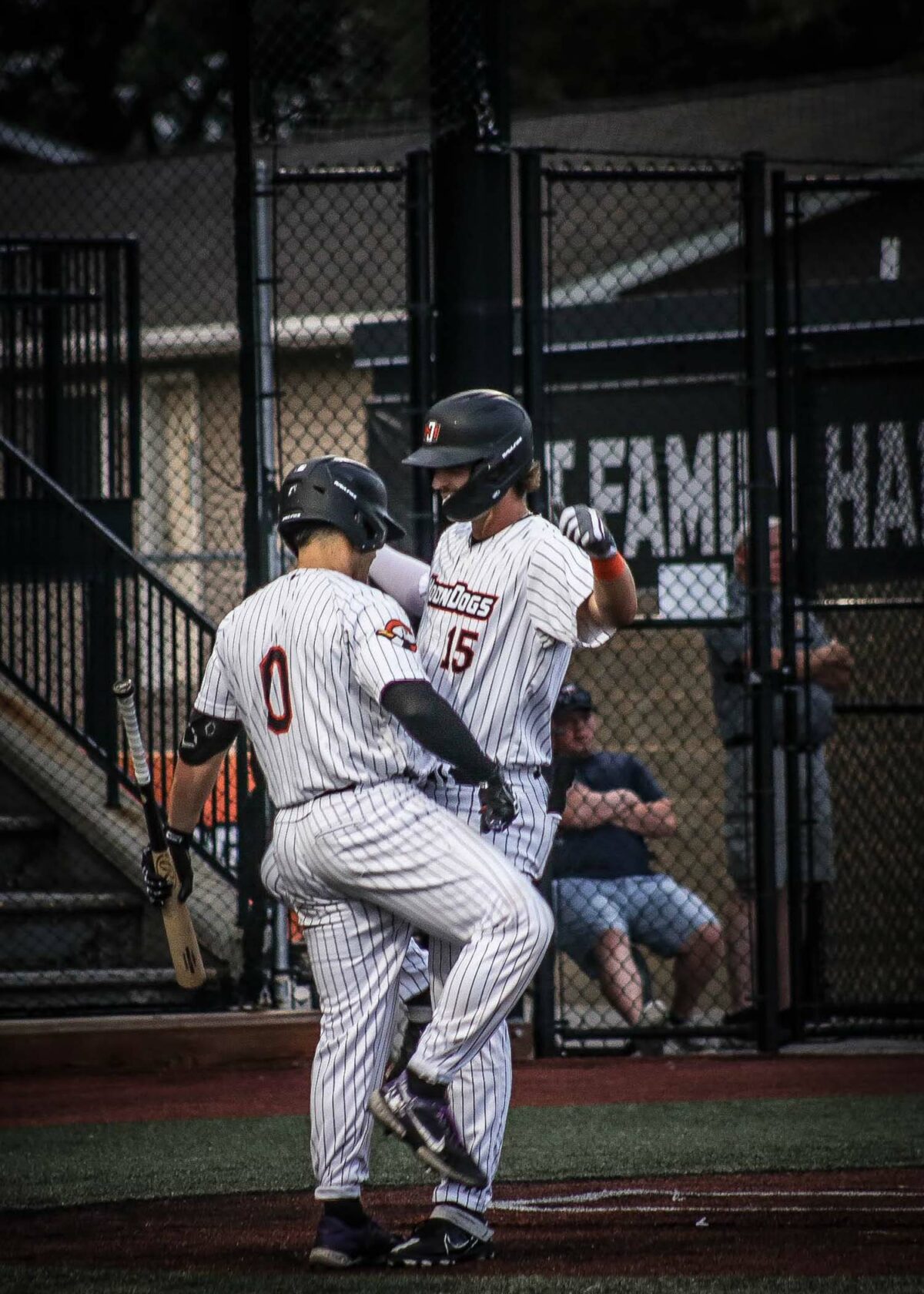 Home - Mankato MoonDogs