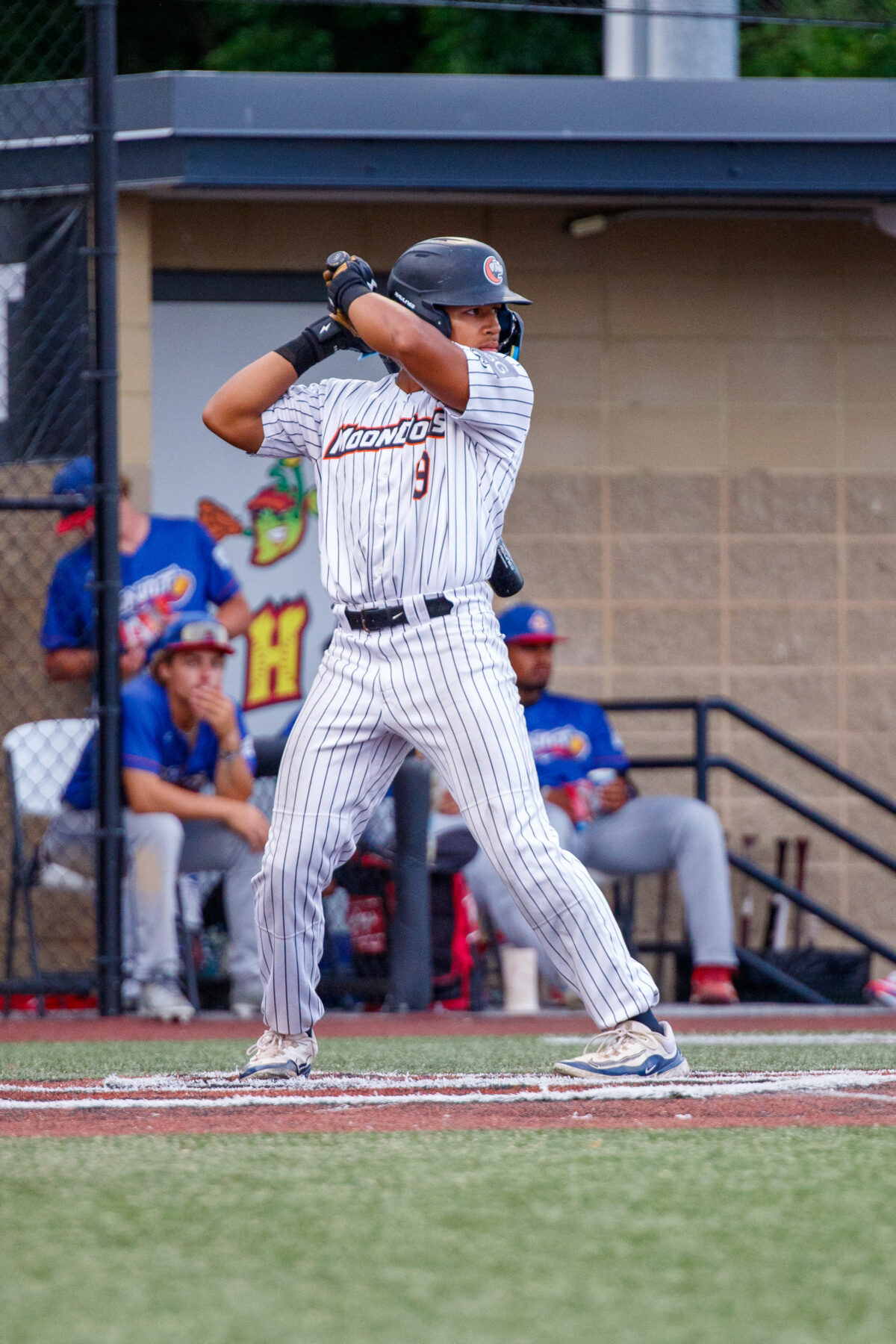 Home - Mankato MoonDogs