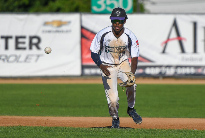 HONKERS DEFEAT LOGGERS TO COMPLETE FIRST HALF - Rochester Honkers