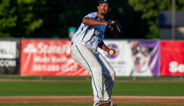 Rochester Honkers - Get Ready for the Show! : Rochester Honkers