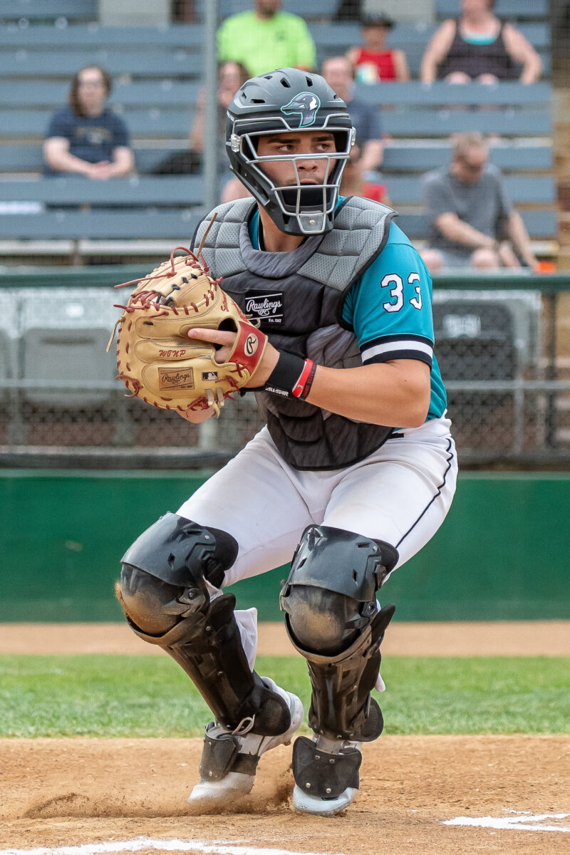 Honkers Pitching Falters in Worst Game of the Season - Rochester Honkers