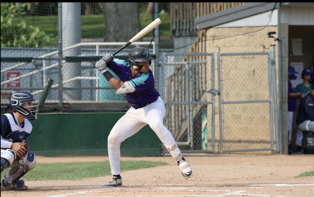 Honkers Pitching Staff Dominant in 8-0 shutout - Rochester Honkers