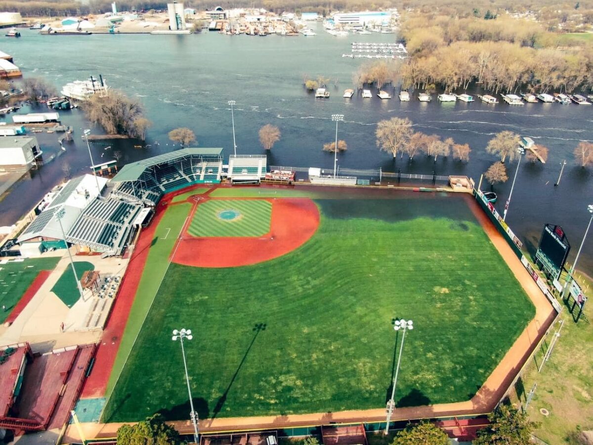 CATS DOWN LOGGERS - Thunder Bay Border Cats