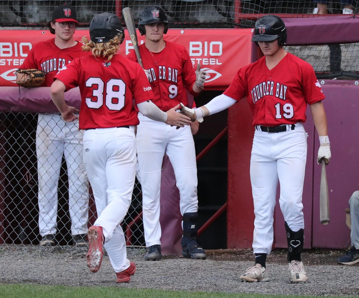 CATS RAIN DOWN ON DOGS - Thunder Bay Border Cats