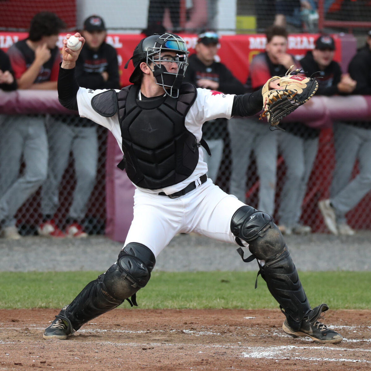 CATS CONTINUE WINNING WAYS - Thunder Bay Border Cats