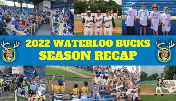 Waterloo Bucks - Have a Great Time Out with the Bucks! : Waterloo Bucks