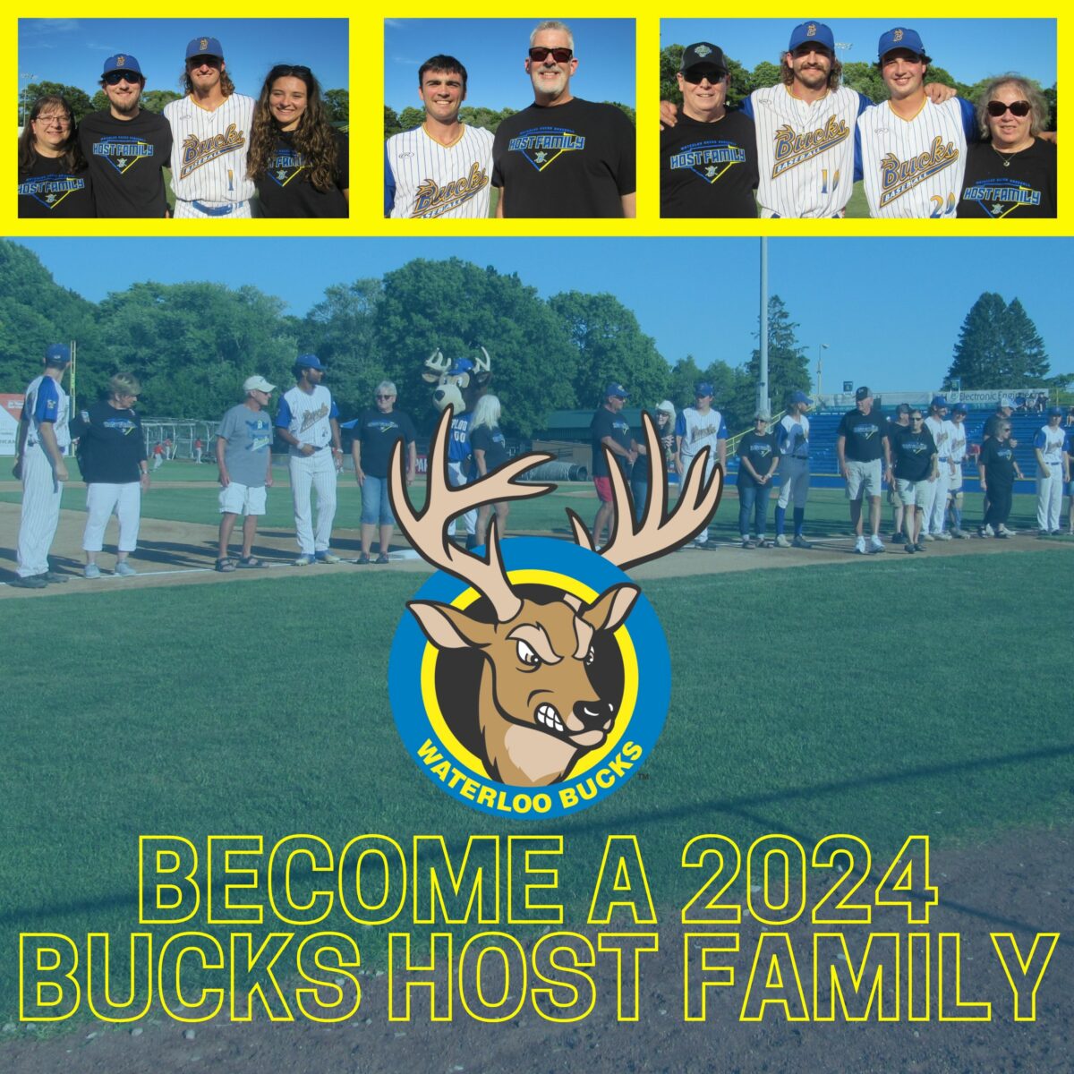 News - Waterloo Bucks